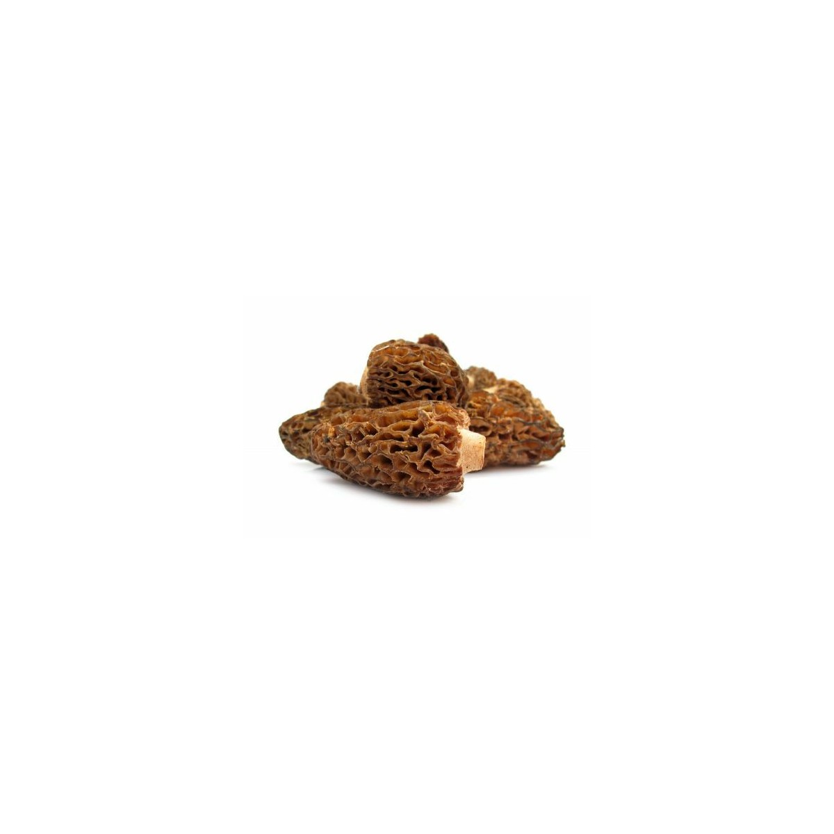Achat morilles séchées 500g - La Bovida