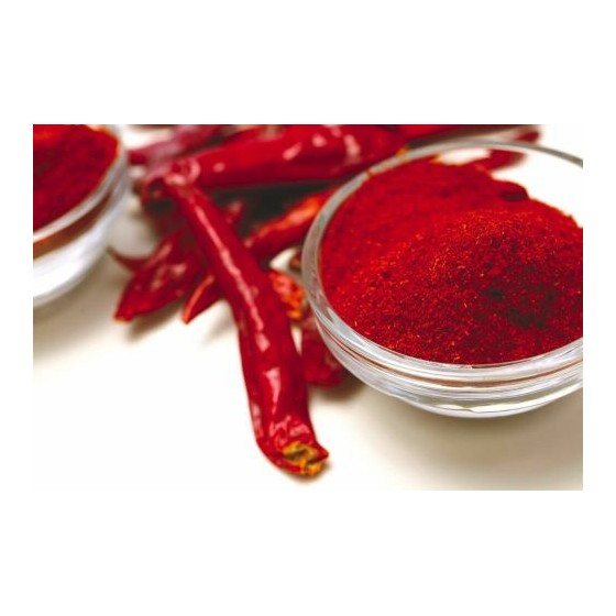 Paprika liquide bidon 1 kg professionnel - La Bovida